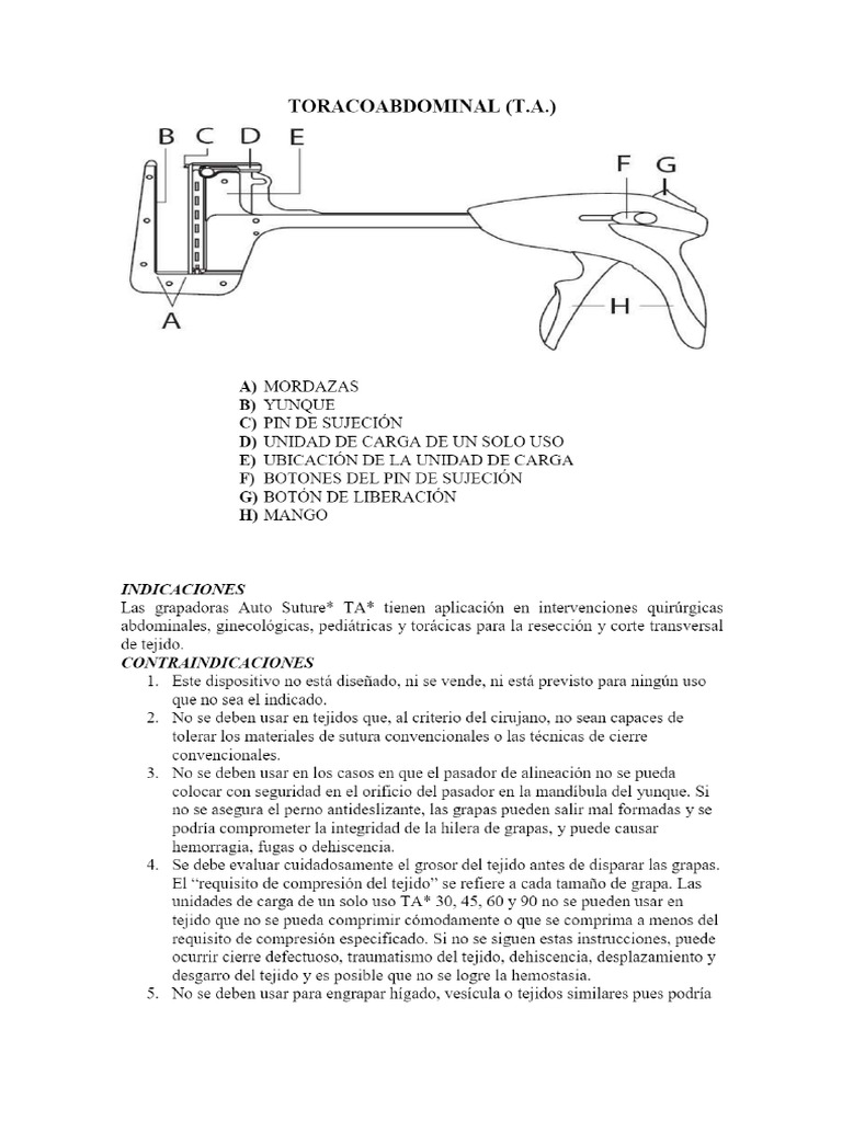 Toracoabdominal (T.a.) | PDF