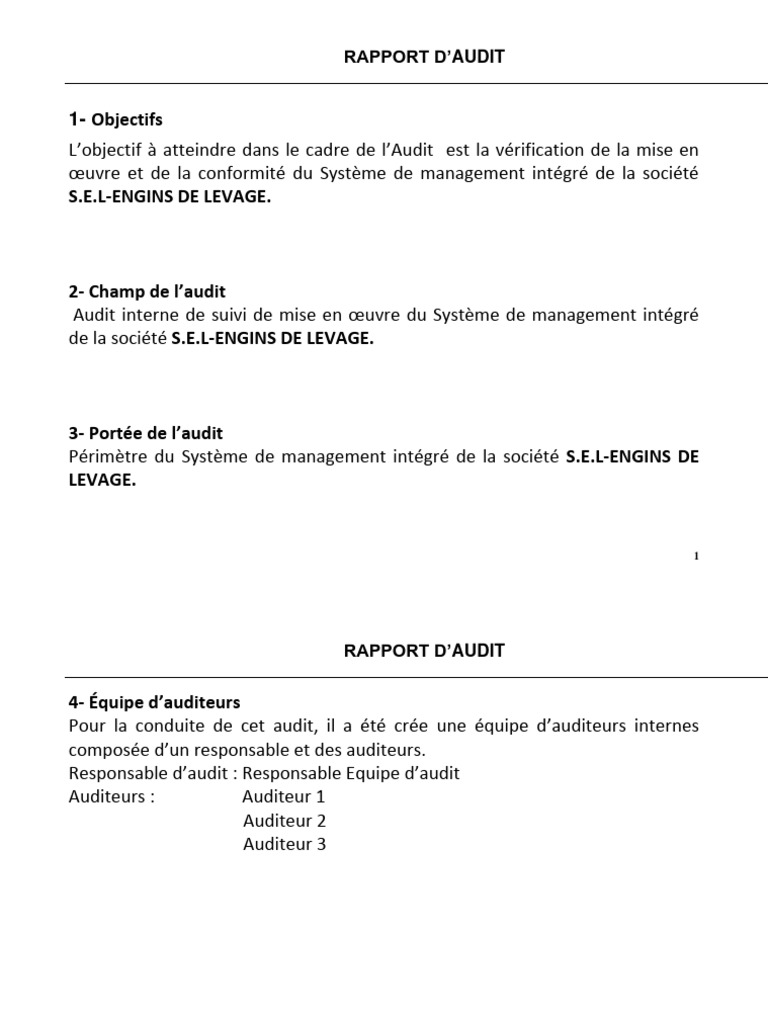 Exemple Rapport D Audit PDF | PDF | Audit | Business