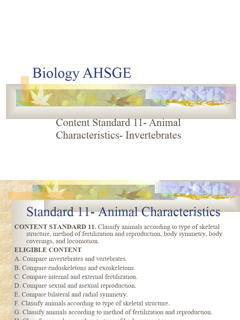 Invertebrate Classification Guide | PDF | Invertebrate | Mollusca