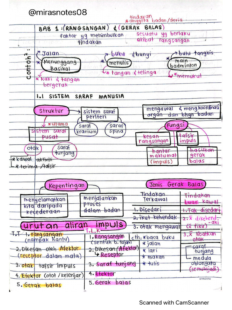 Sains F3 Bab 1 | PDF