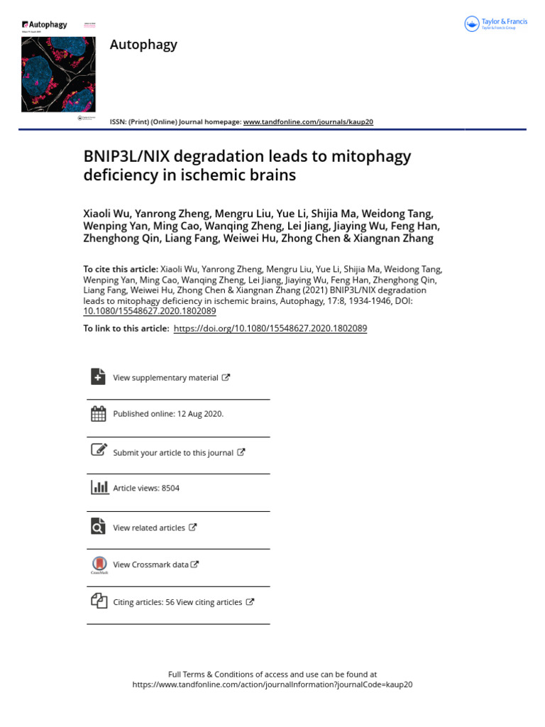BNIP3L/NIX and Mitophagy in Ischemia | PDF | Ischemia | Autophagy