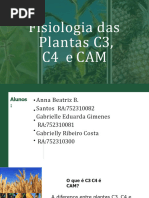 Slides Plantas C3, C4 e CAM | PDF | Metabolismo | Plantas