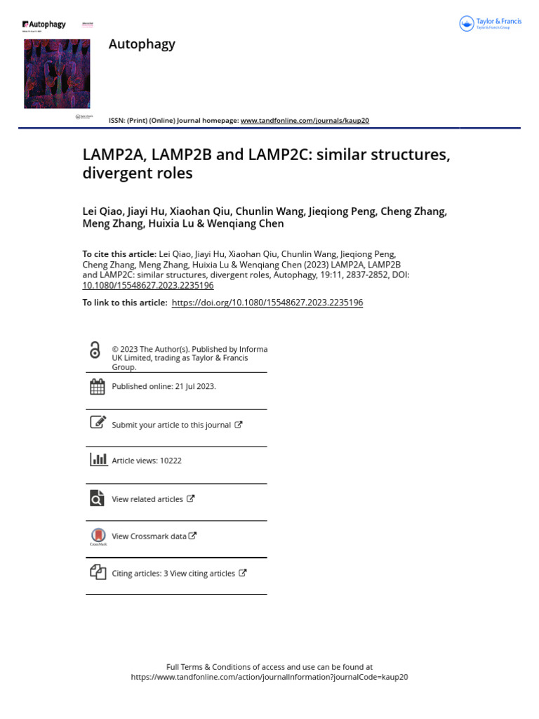 LAMP2A LAMP2B and LAMP2C Similar Structures Divergent Roles | PDF ...