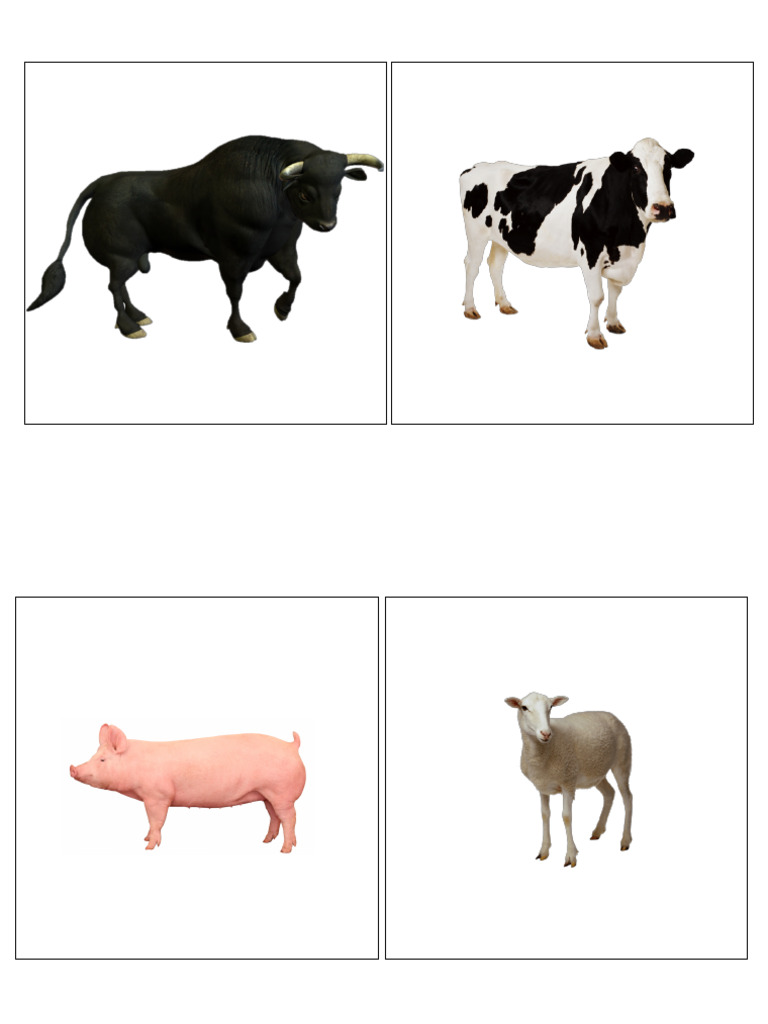 Animales De Granja Pdf