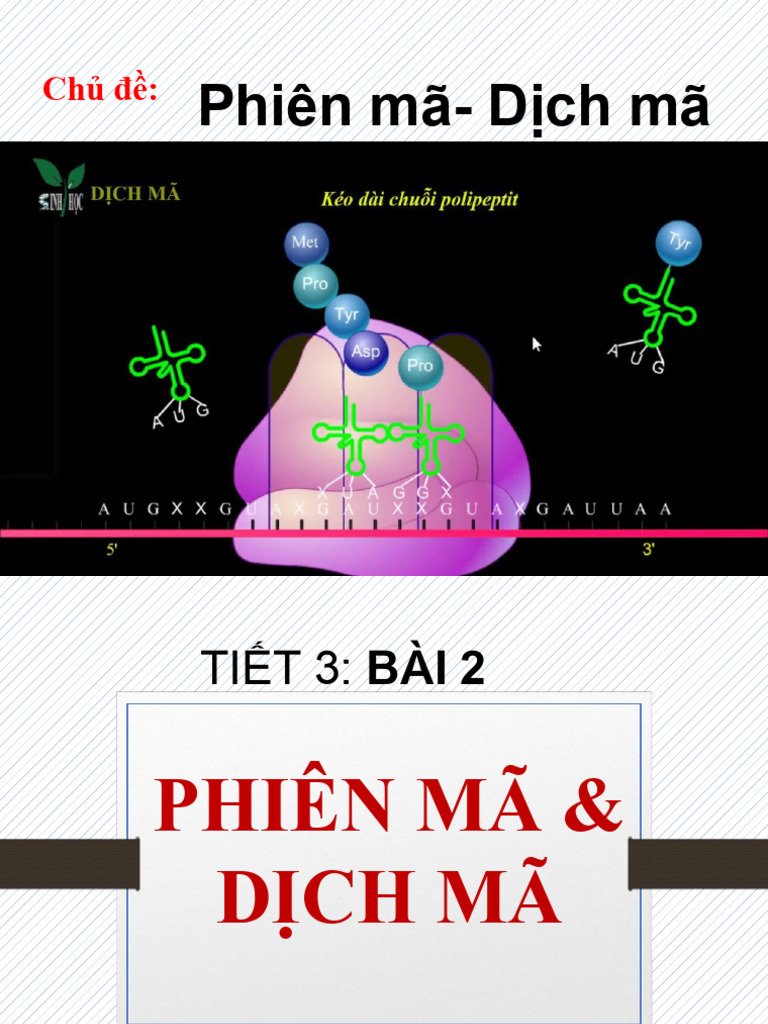 Bai 2 Phien Ma Va Dich Ma | PDF