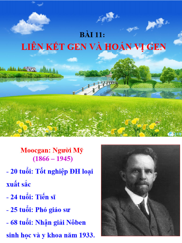 Bai 11 Lien Ket Gen Va Hoan VI Gen | PDF
