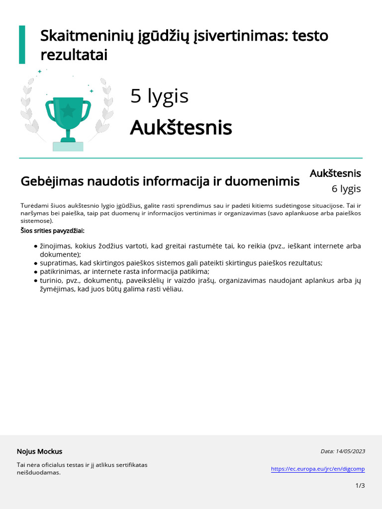 Skaitmeninių Įgūdžių Ataskaita | PDF