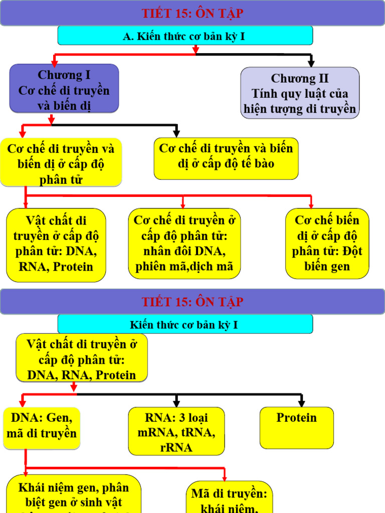 Bai 23 On Tap Phan Di Truyen Hoc | PDF