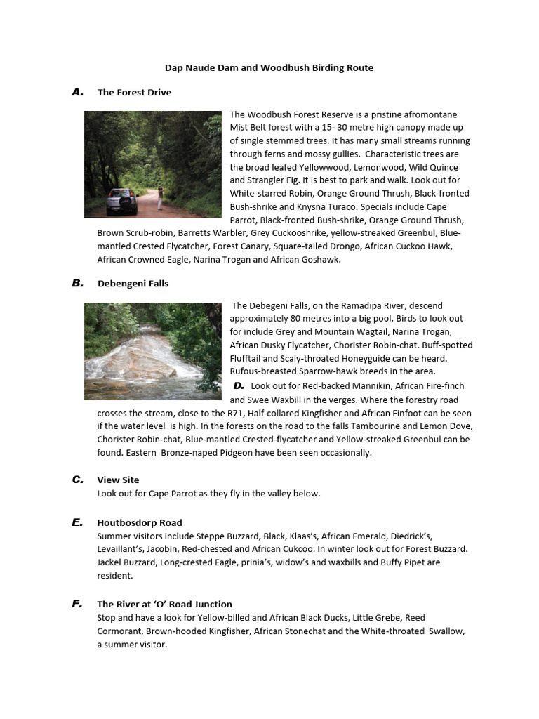 Dap Naude Dam Birding Highlights | PDF | Vertebrates Of Africa ...