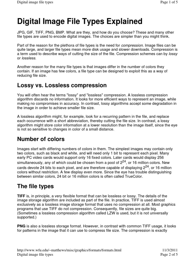 Digital Image File Types Explained | PDF | Data Compression | File Format