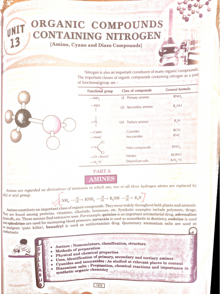 Chemistry Amine | PDF
