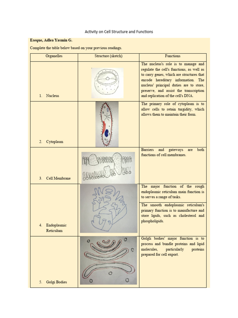 Cell Structure and Functions | PDF | Cell (Biology) | Cytoplasm