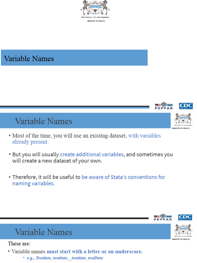Variable Names | PDF