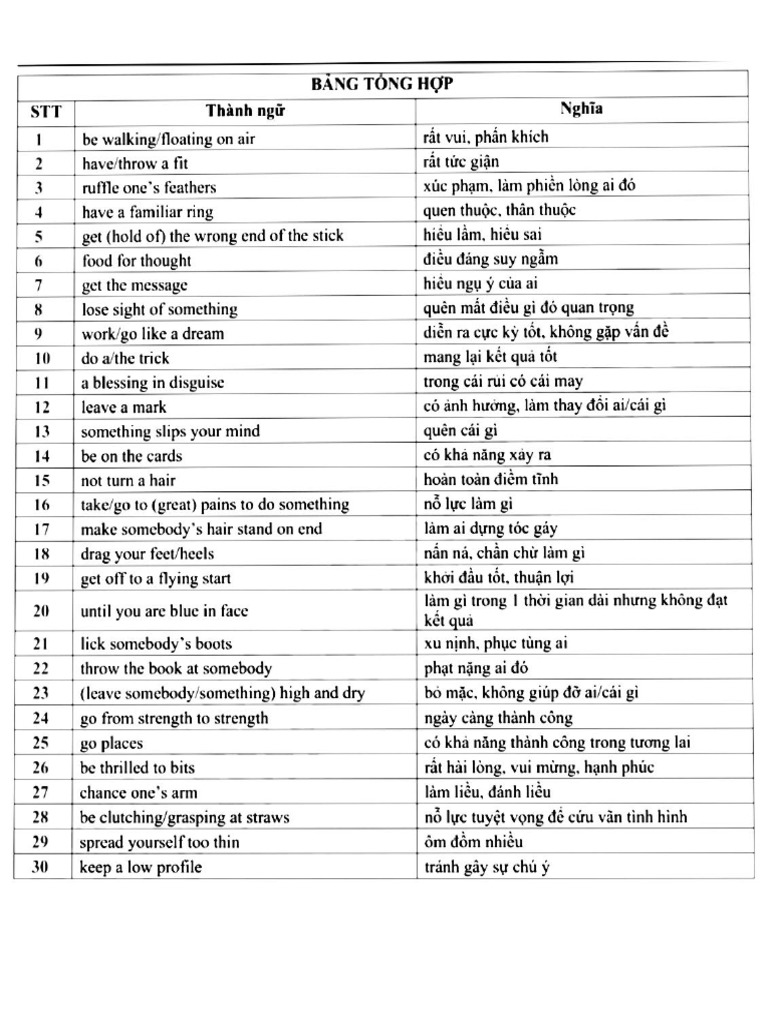 B NG T Idiom Đòng Nghĩa | PDF