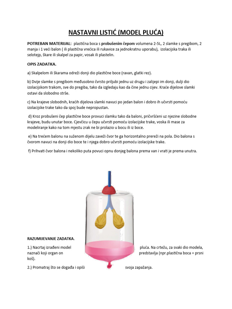 Nastavni Listić B7 - Model Pluća | PDF