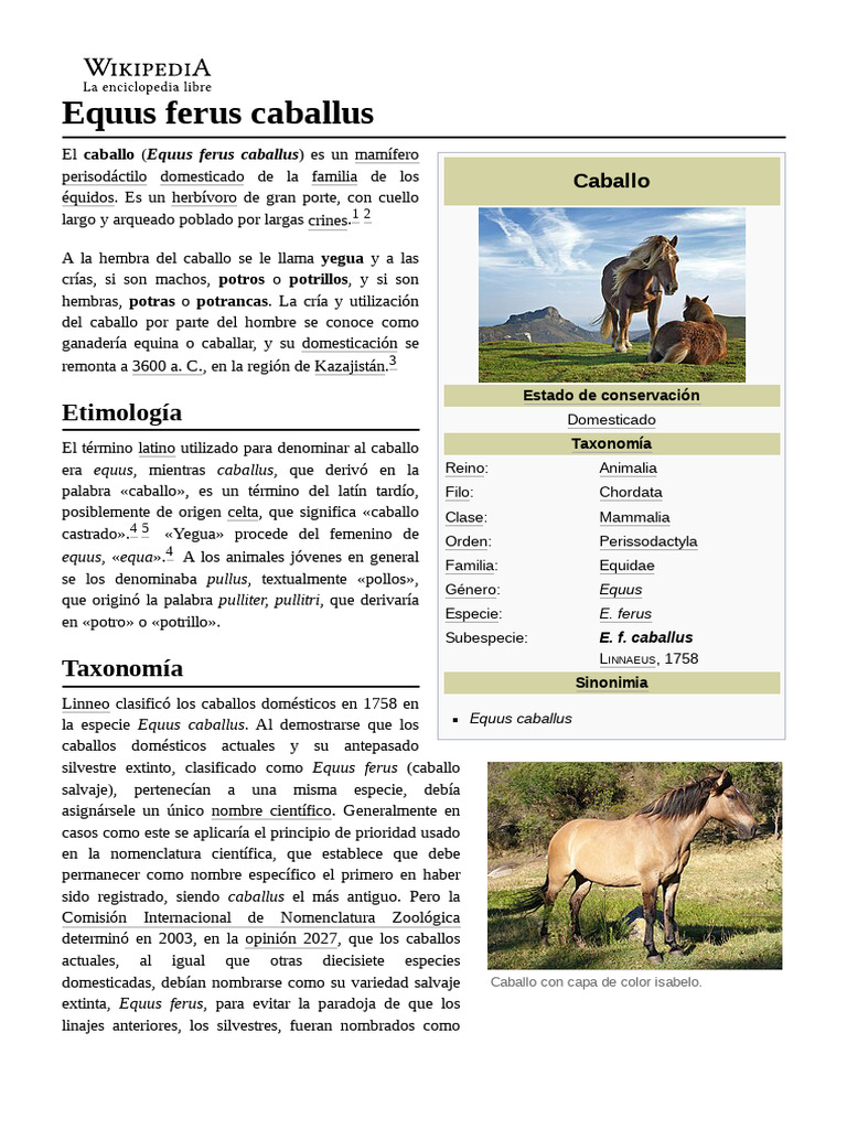 Taxonomía y origen del caballo Equus | PDF | Caballos | Équidos