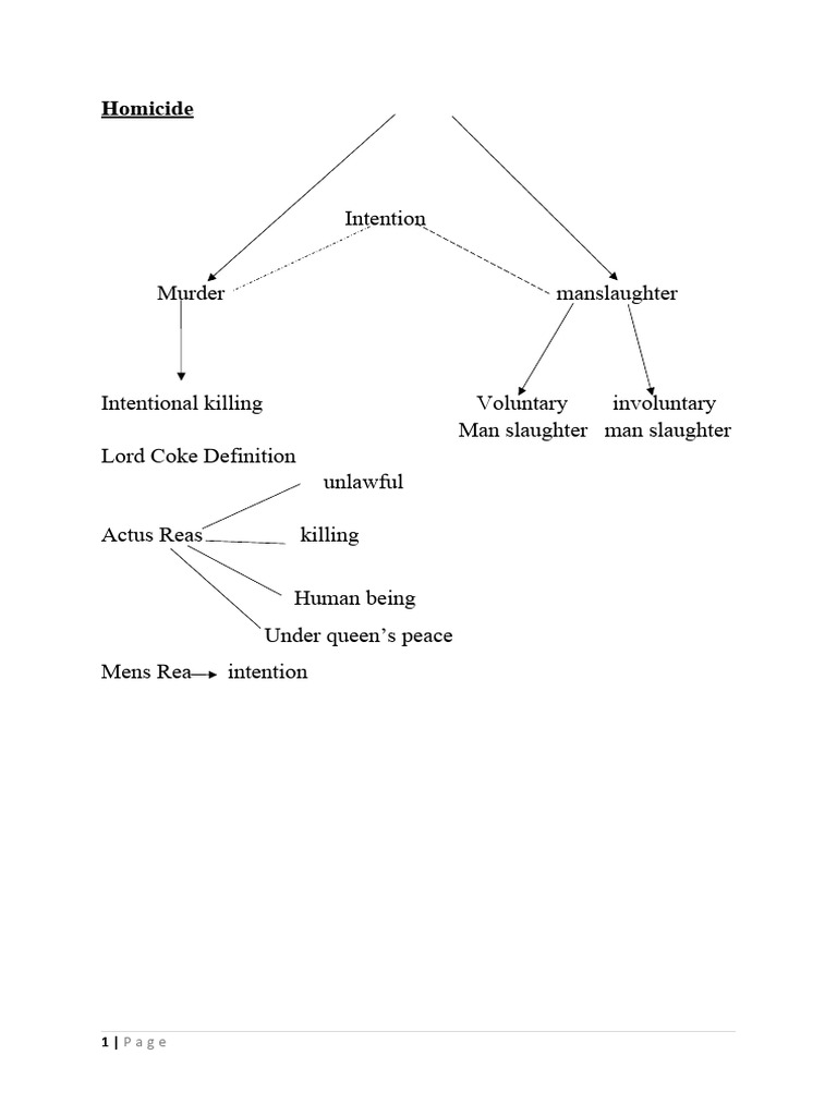 Criminal Law Homicide Main | PDF | Manslaughter | Negligence