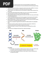 Biology Grade 12 Unit 4 Evolution 01 | PDF | Evolution | Life
