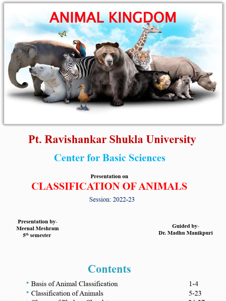 Animal Kingdom | PDF | Zoology