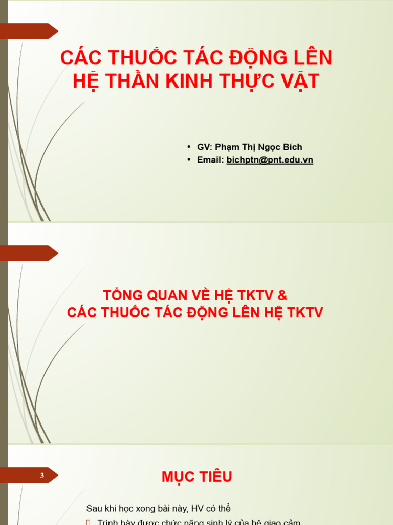 Thuc Vat Phan 1 | PDF