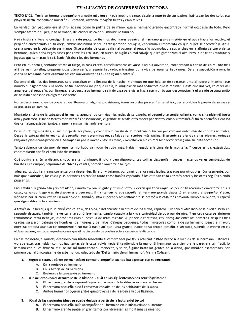 Evaluación de Comprensión Lectora en Secundaria | PDF | Literatura | Nación