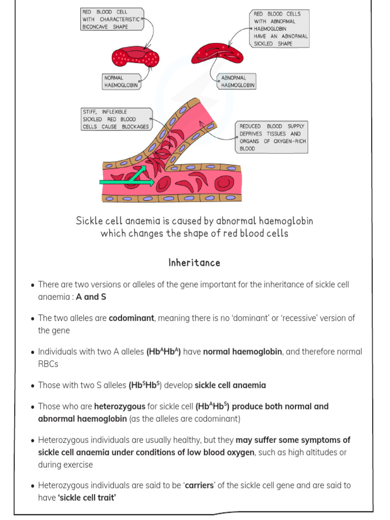 OL BIOLOGY Natural Selection and Evolution | PDF | Selective Breeding ...