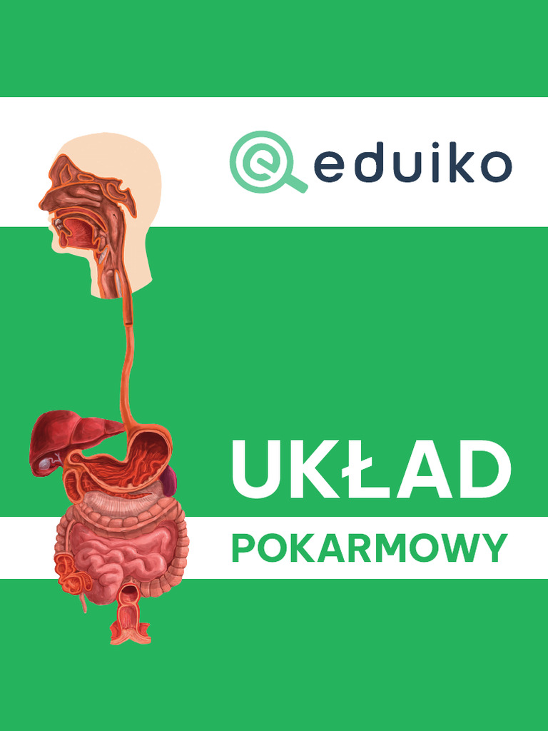 ATLAS Uklad Pokarmowy | PDF