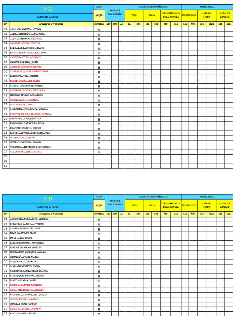 Formato de Toma Del Imc - Ii | PDF