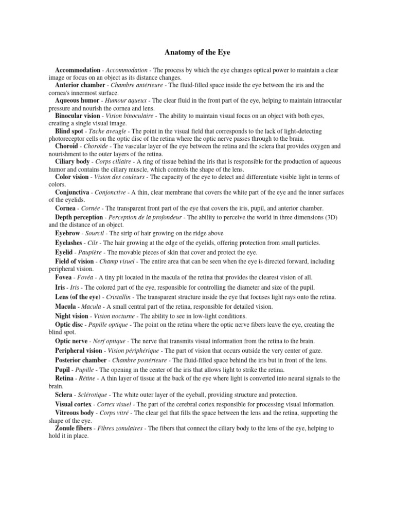 Vocabulary 1 - Anatomy of The Eye | Download Free PDF | Eye | Visual ...