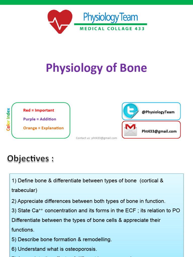 Lecture 1 Physiology of Bone | PDF | Bone | Osteoblast