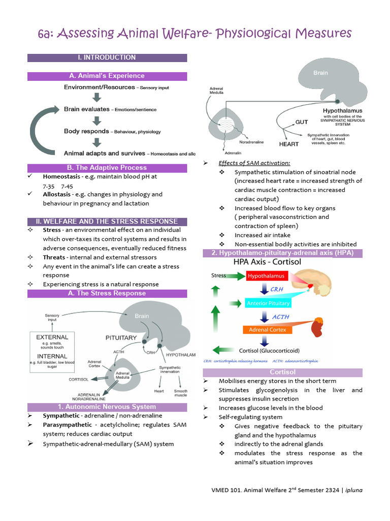 6a. Assessing Animal Welfare - Physiological Measures | PDF | Stress ...
