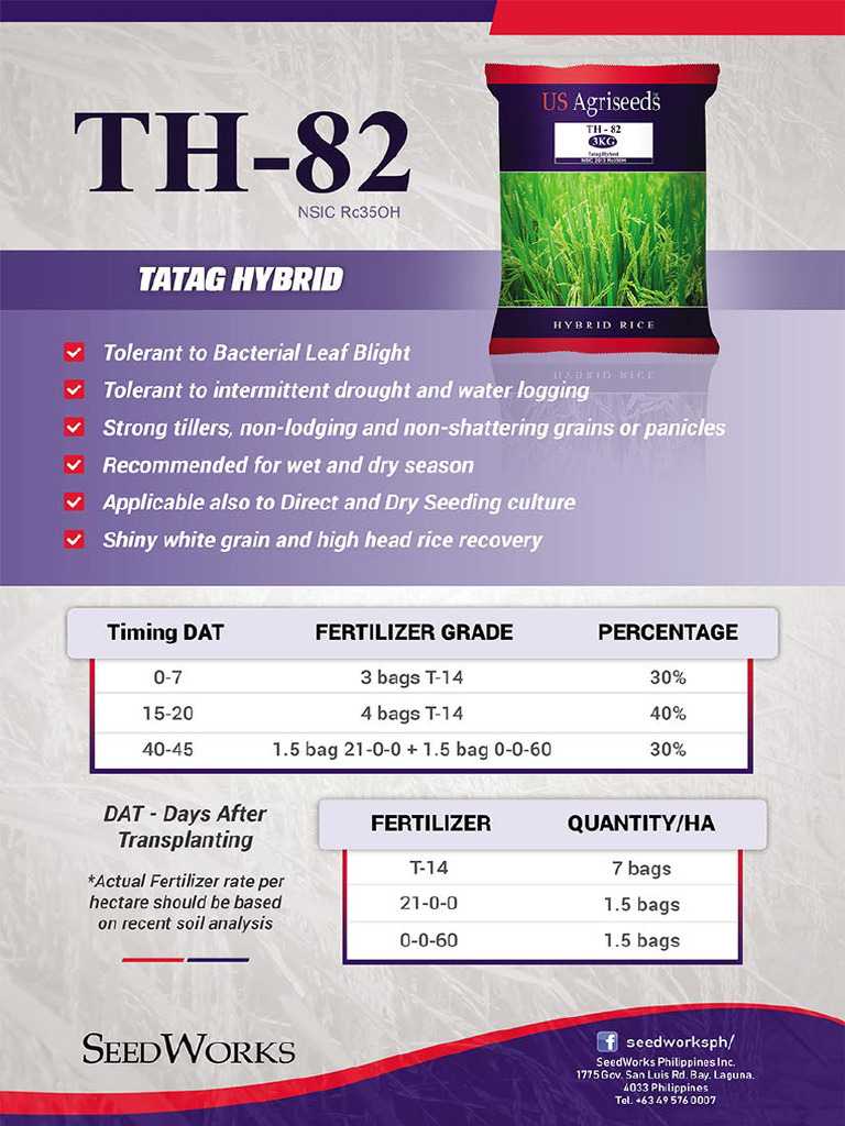 Brochure TH-82 | PDF