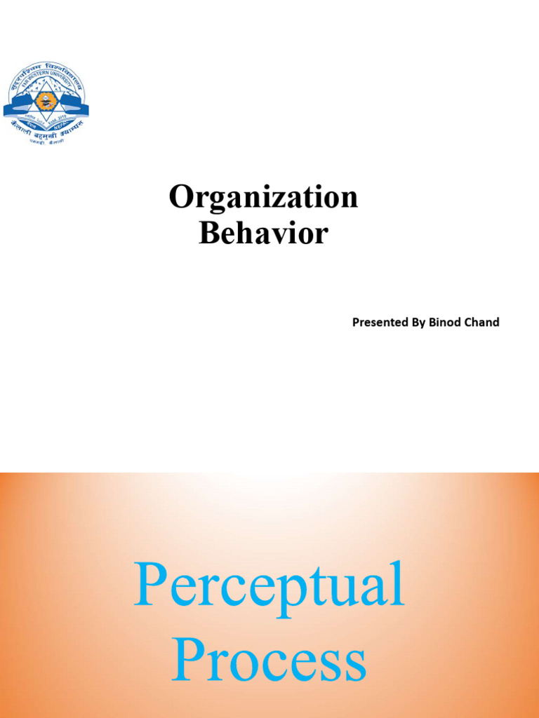 Organization Behevior (THeories) | PDF | Perception | Motivation