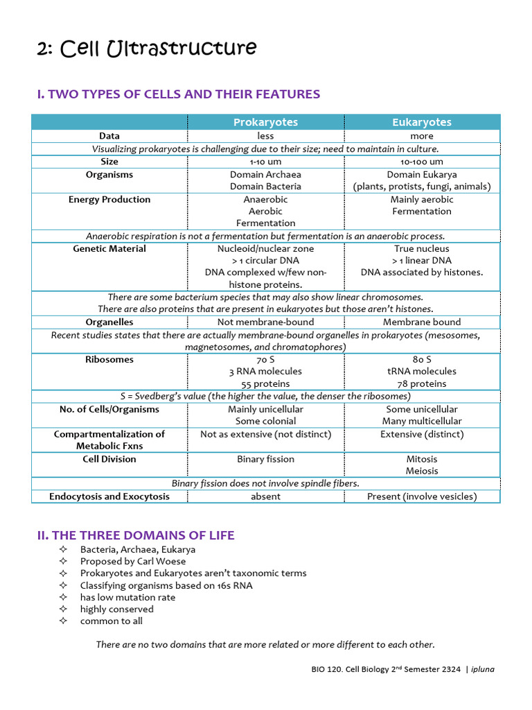 Cell Ultrastructure | PDF | Cell (Biology) | Eukaryotes