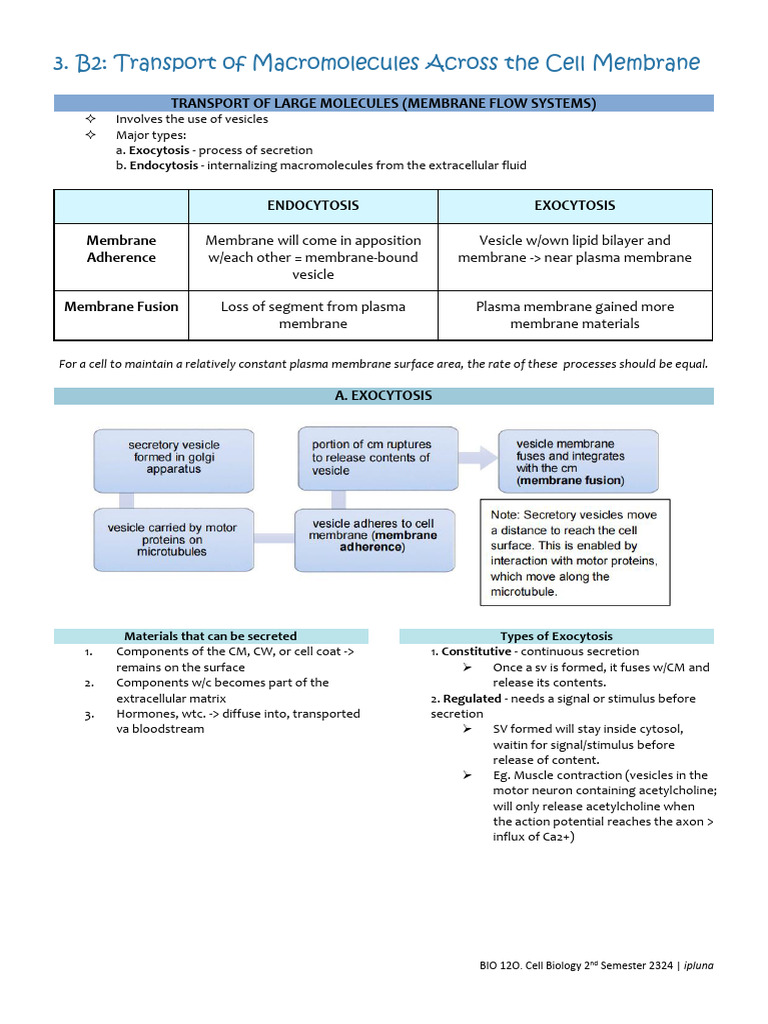Macromolecule Transport in Cell Biology | PDF | Cell Membrane | Vesicle ...