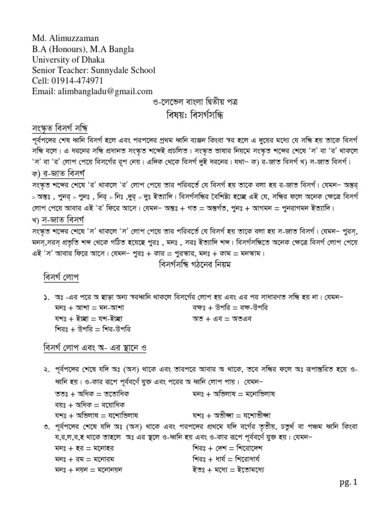 Bisorgo Sondhi | PDF