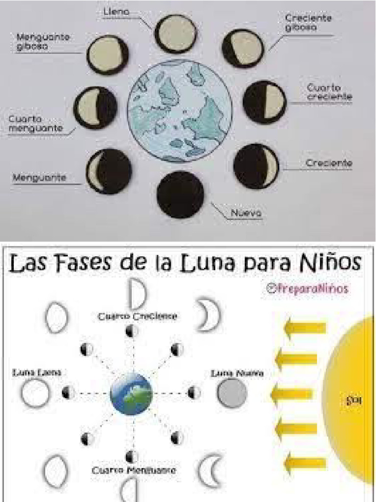 Fases De La Luna Pdf