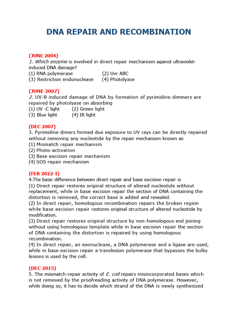 Sheet 2 Dna Repair and Recombination | PDF | Dna Repair | Dna