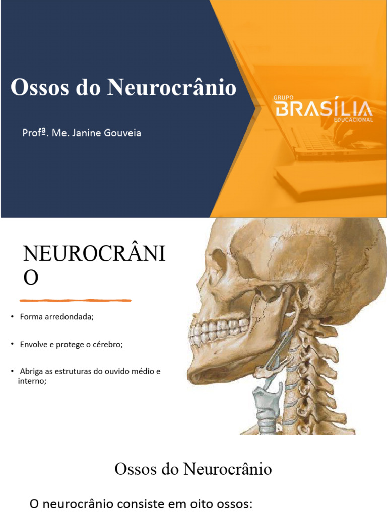 Ossos do Neurocrânio | PDF | Crânio | Sistema Locomotor