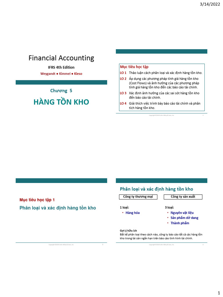 Hàng T N Kho: Financial Accounting | PDF