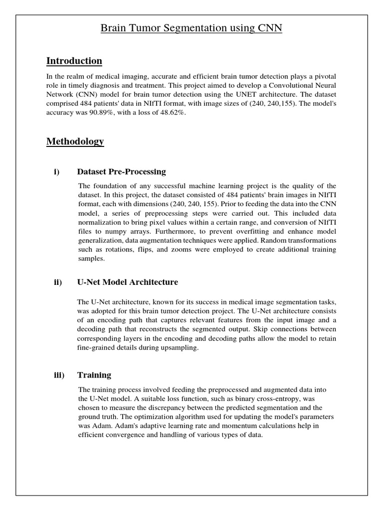 Brain_Tumor_Segmentation | PDF | Image Segmentation | Learning