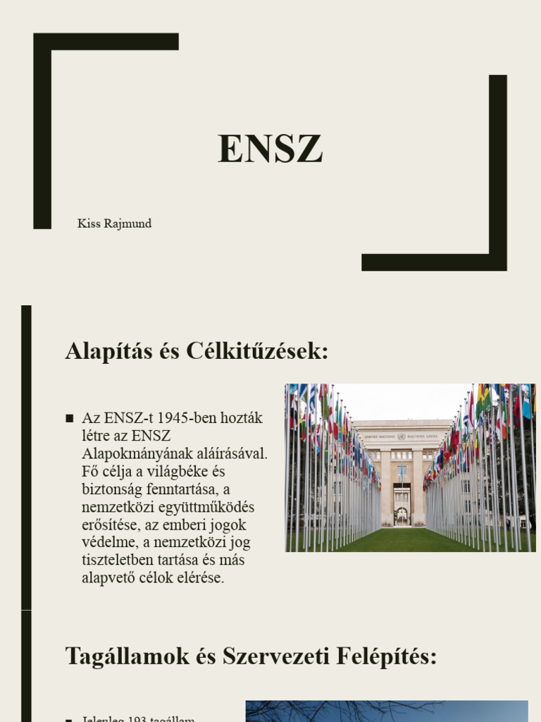 ENSZ | PDF