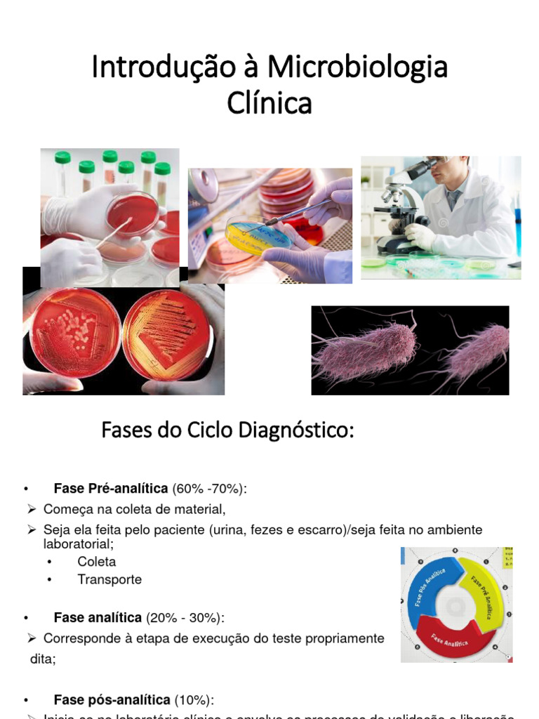 Aula 1 IntroduÃ Ã o Ã Microbiologia Clinica | PDF | Biologia ...