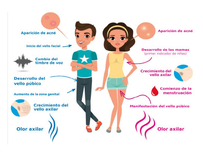 cambios biologicos de la adolescencia | PDF