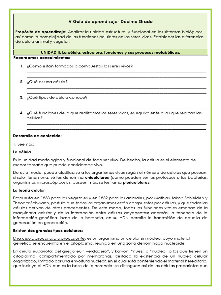 Guis de Aprendizaje La Celula | PDF | Biología Celular) | Citoplasma