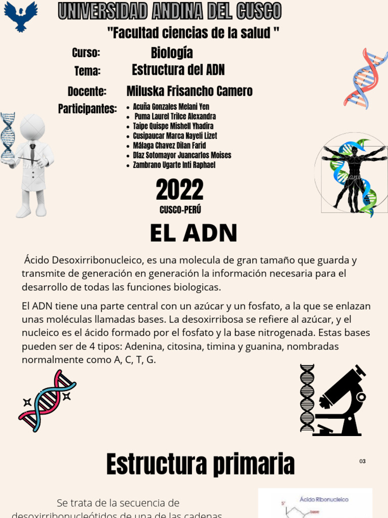 Estructura Del ADN | Descargar gratis PDF | Adn | Biología