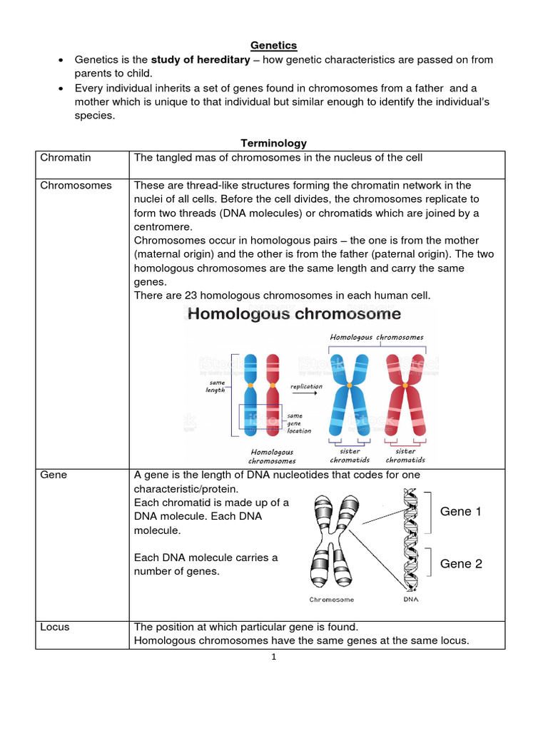 Genetics 2024 | PDF | Dominance (Genetics) | Zygosity