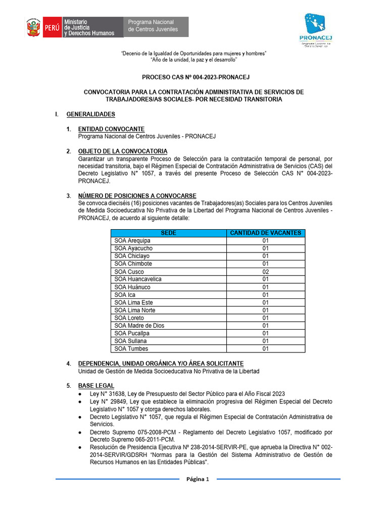 Bases Del Proceso Cas 04-Trabajadores Sociales-Soa | PDF | Educación ...