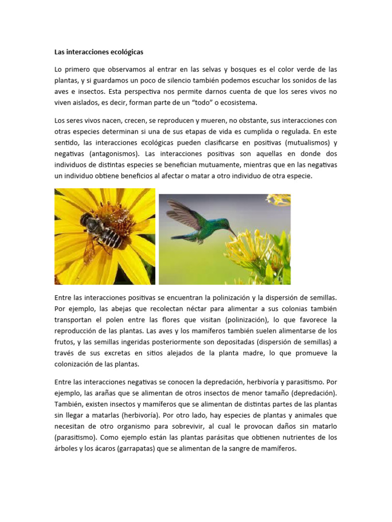 Interacciones Ecológicas en Ecosistemas | PDF | Polinización | Insectos