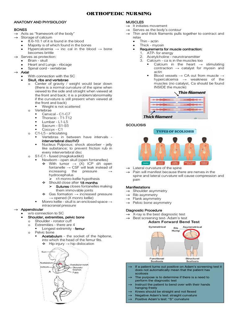 ORTHOPEDIC-NURSING | PDF | Bone | Vertebral Column